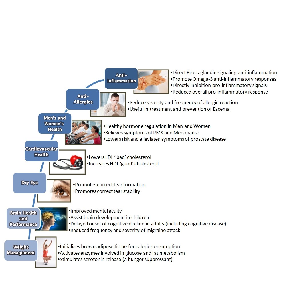 Vegan GLA - Products