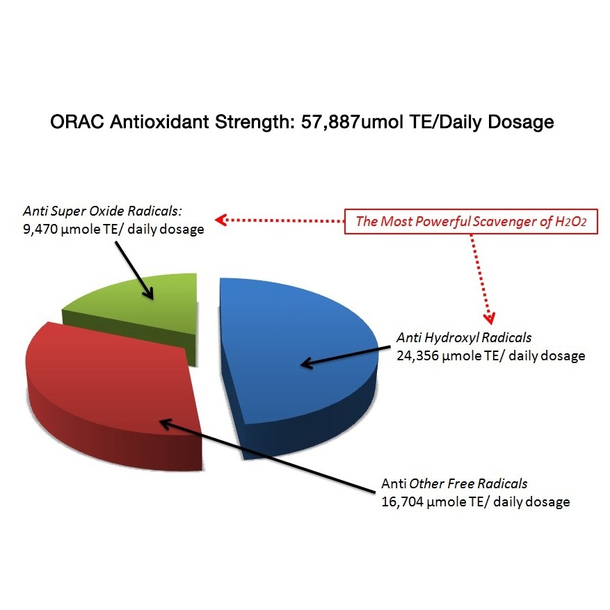 Vision Smart Supreme - Products