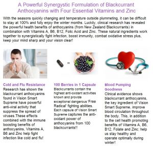 Winter Wellness - Vision SmartVision Smart