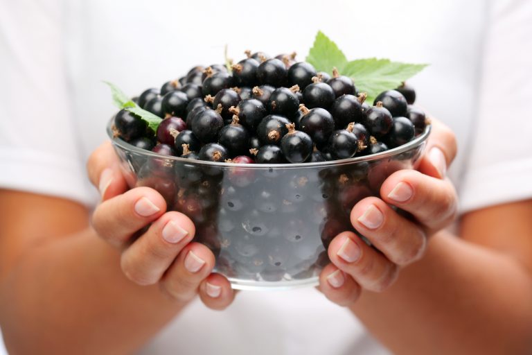 What is New Zealand Blackcurrant - Vision SmartVision Smart