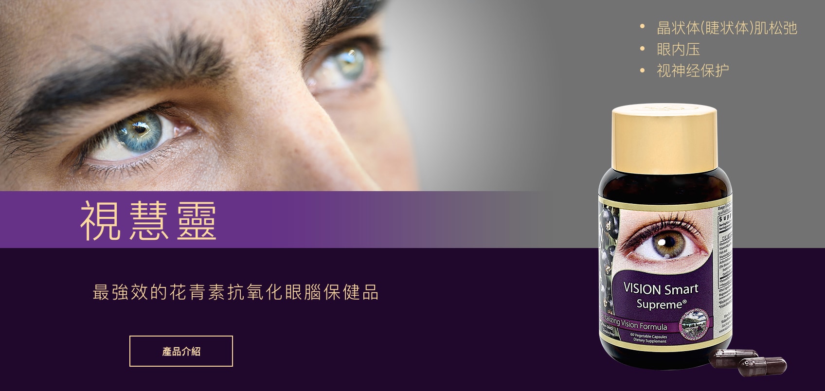 New Zealand Black Currant, Anthocyanins, Probiotic & Prebiotics Online ...