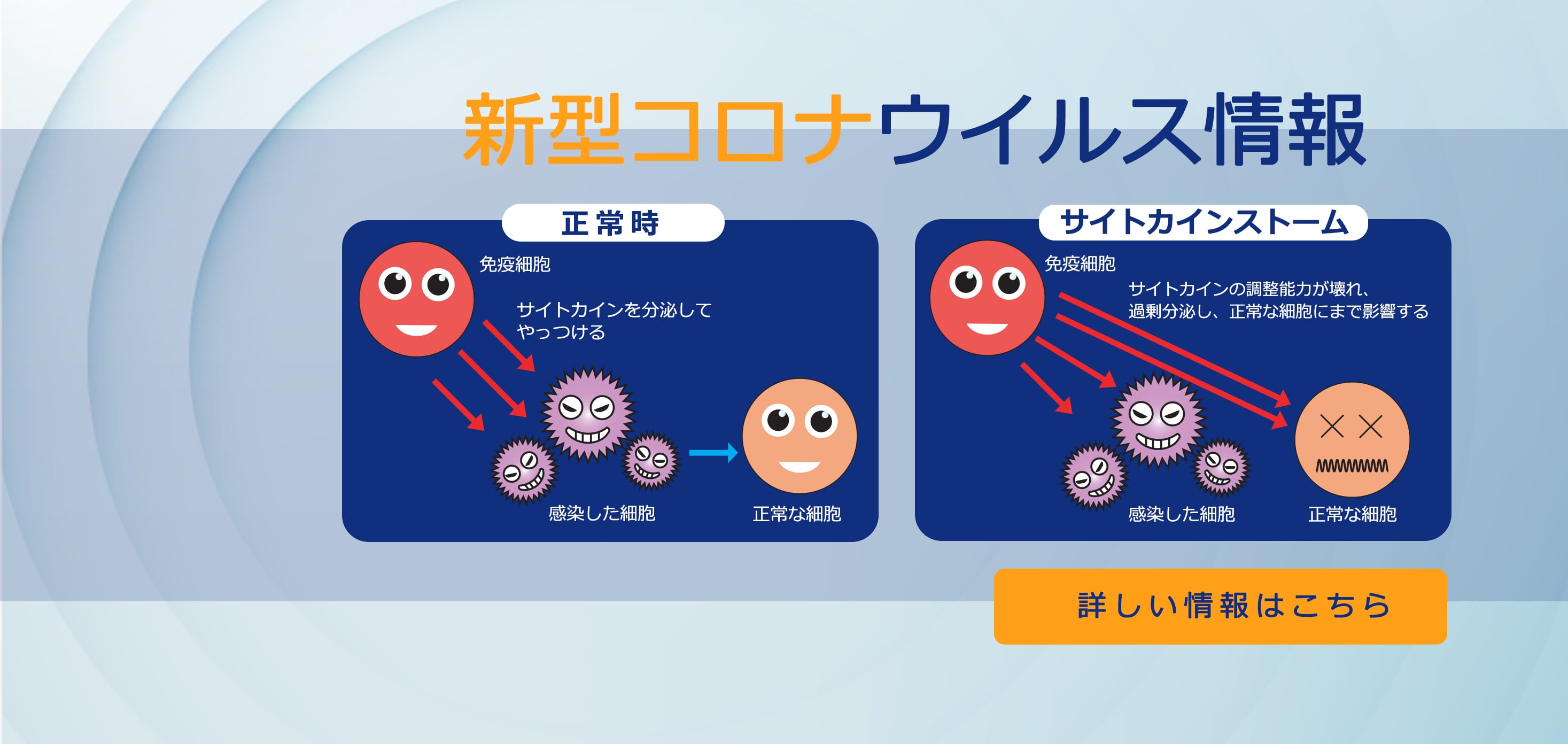 New Zealand Black Currant, Anthocyanins, Probiotic & Prebiotics Online ...