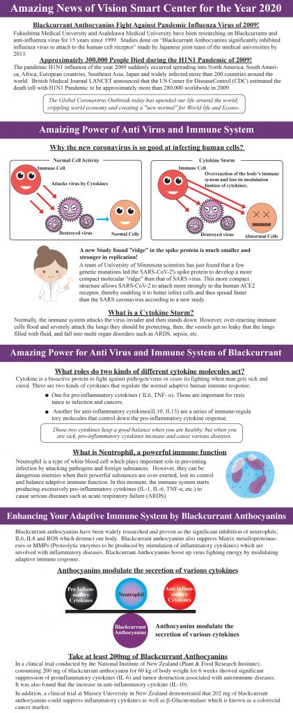- Vision SmartVision Smart