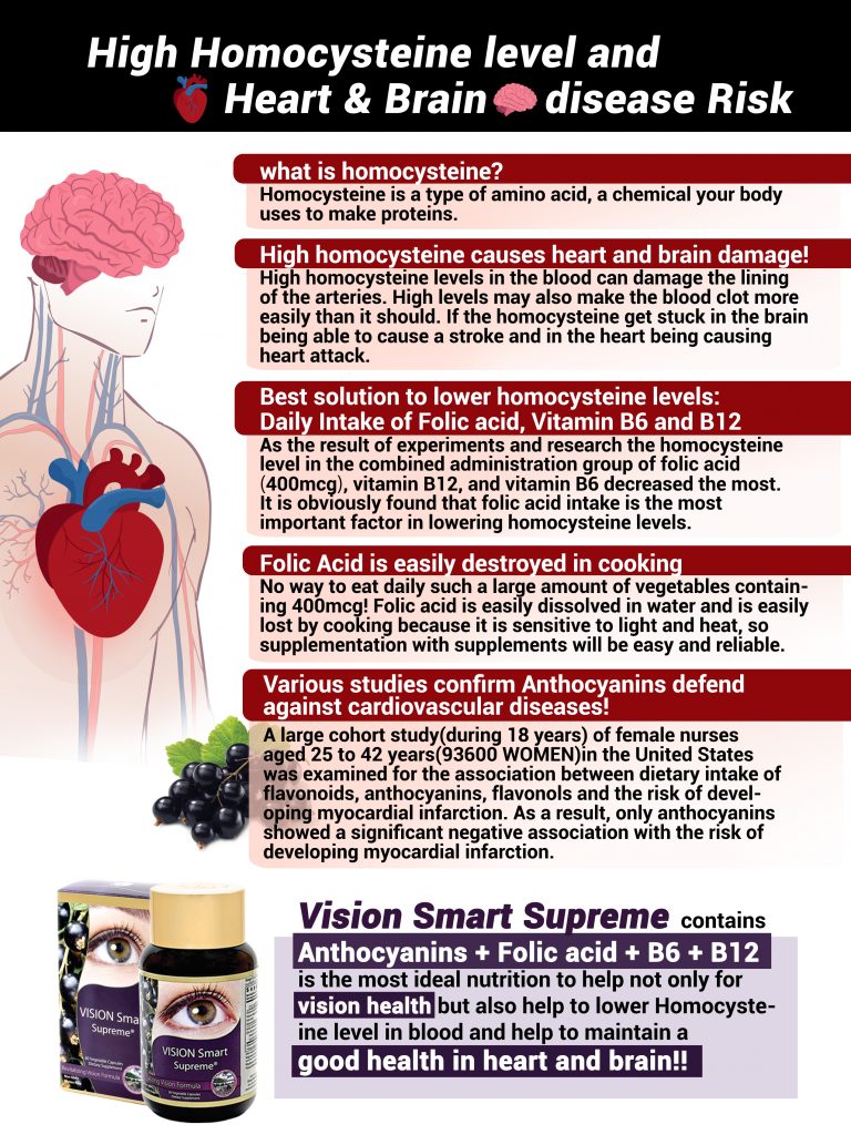 High homocysteine level and heart & brain disease risk - Vision ...