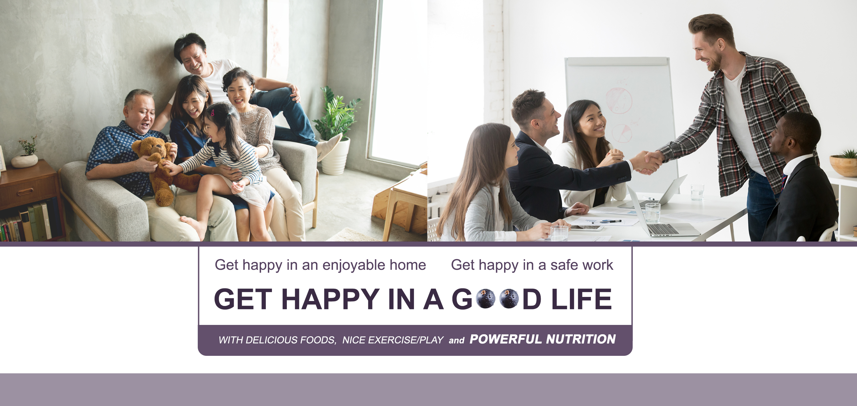 New Zealand Black Currant, Anthocyanins, Probiotic & Prebiotics Online ...